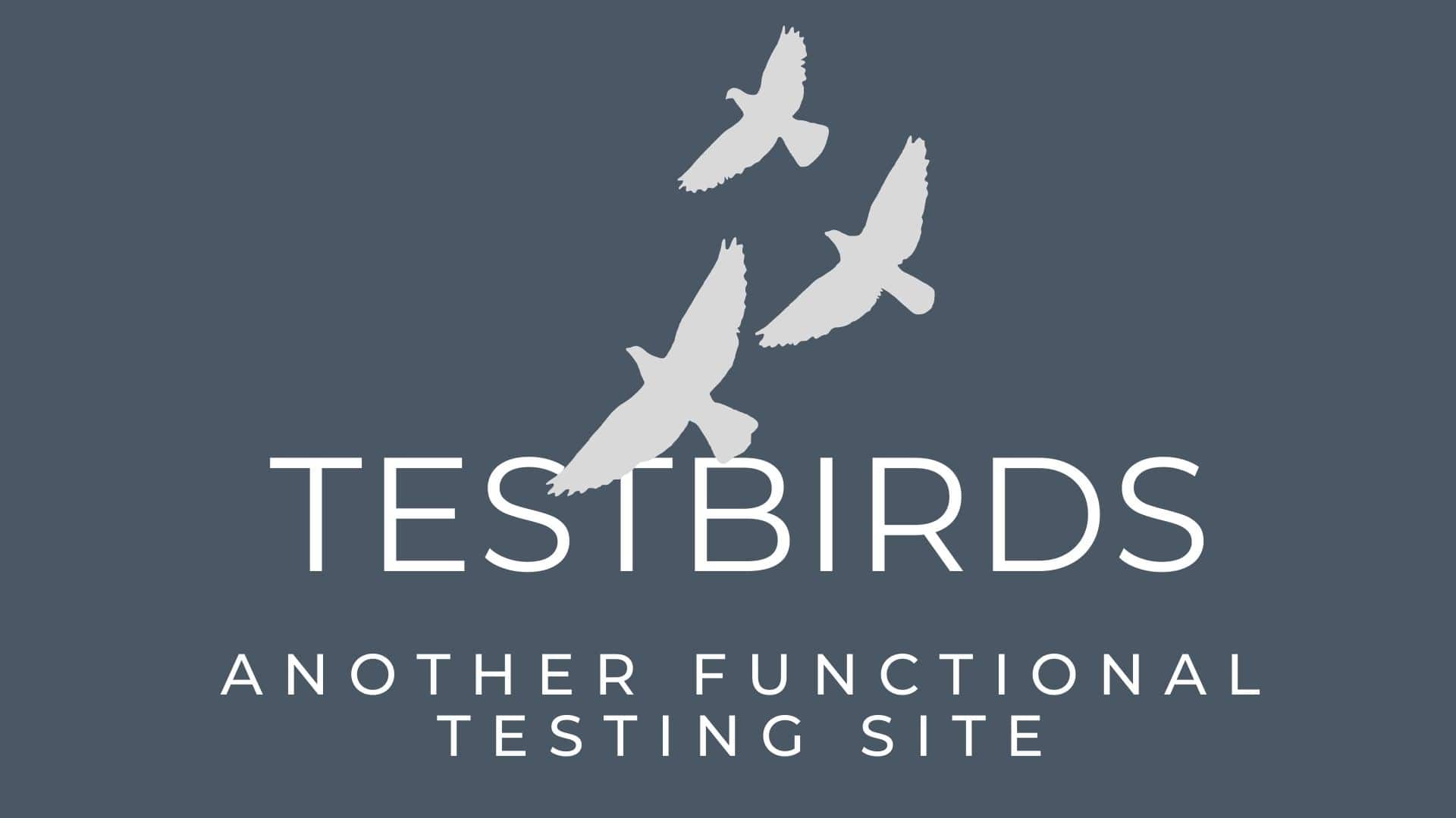 Testbirds: Another Functional Testing Website (with payment proof ...