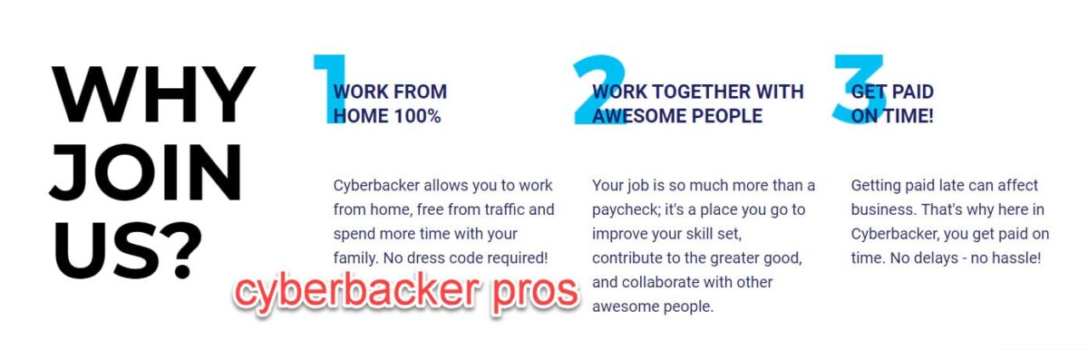 Cyberbacker: Work from Home Jobs (for everyone) - Digital Bazaari
