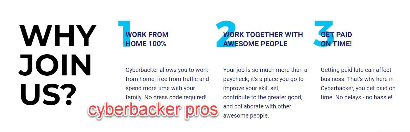 Cyberbacker: Work from Home Jobs (for everyone) - Digital Bazaari